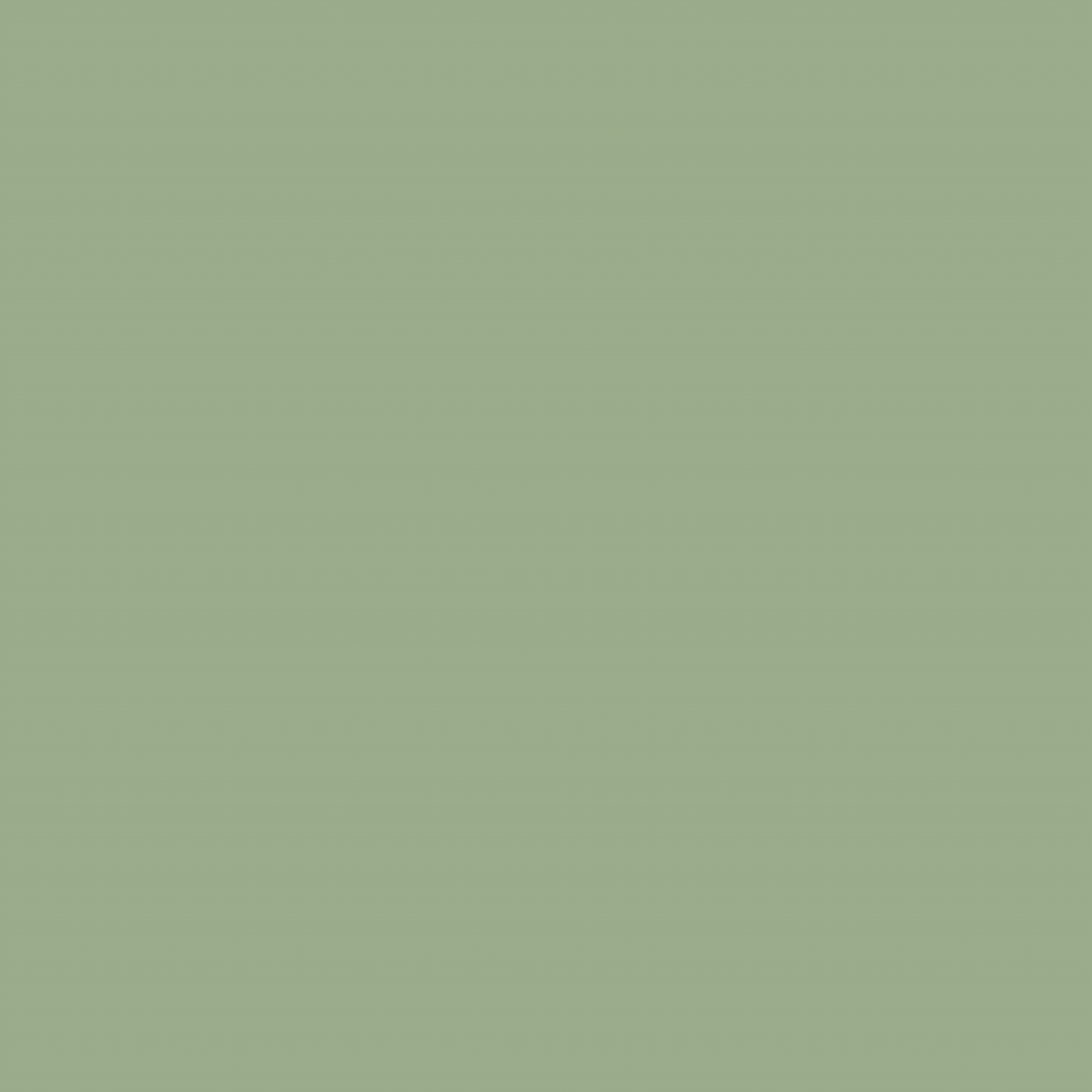 Elegant Sage Green Laminates for Modern Interiors | Material Depot